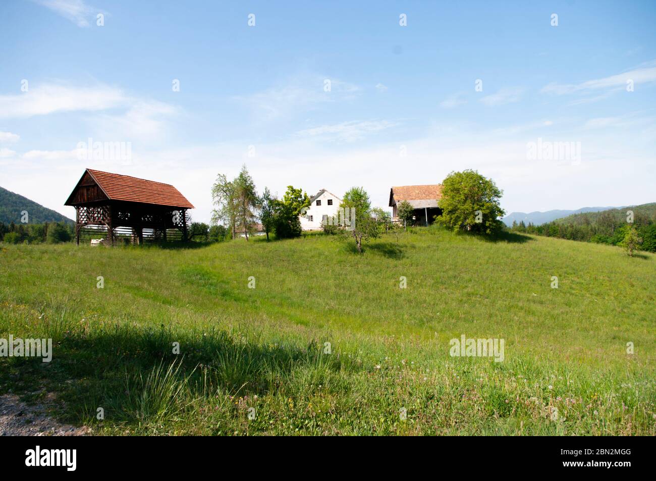 Input field hi-res stock photography and images - Alamy