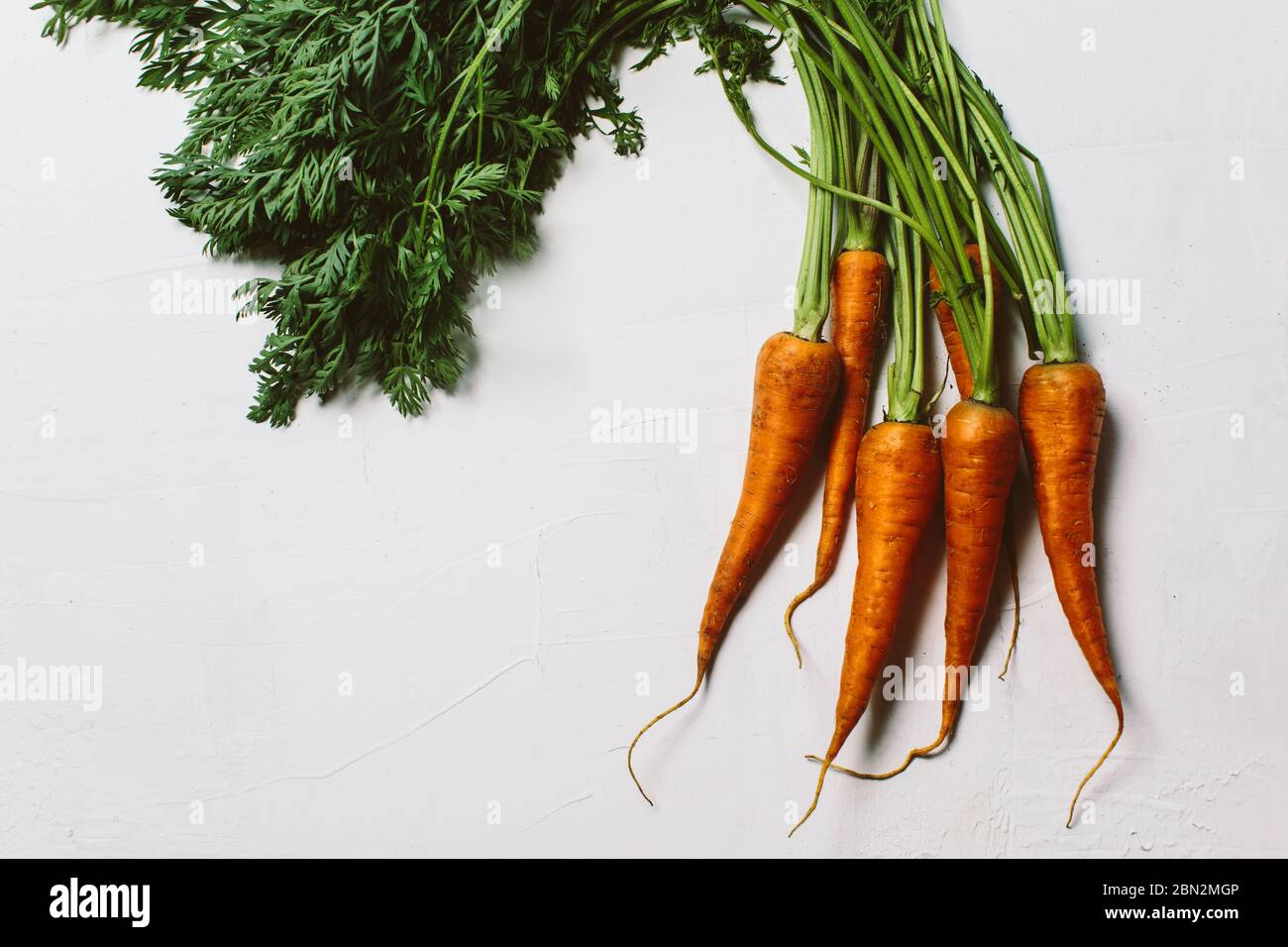 Just picked up fresh organic carrots on white background, close-up, top ...