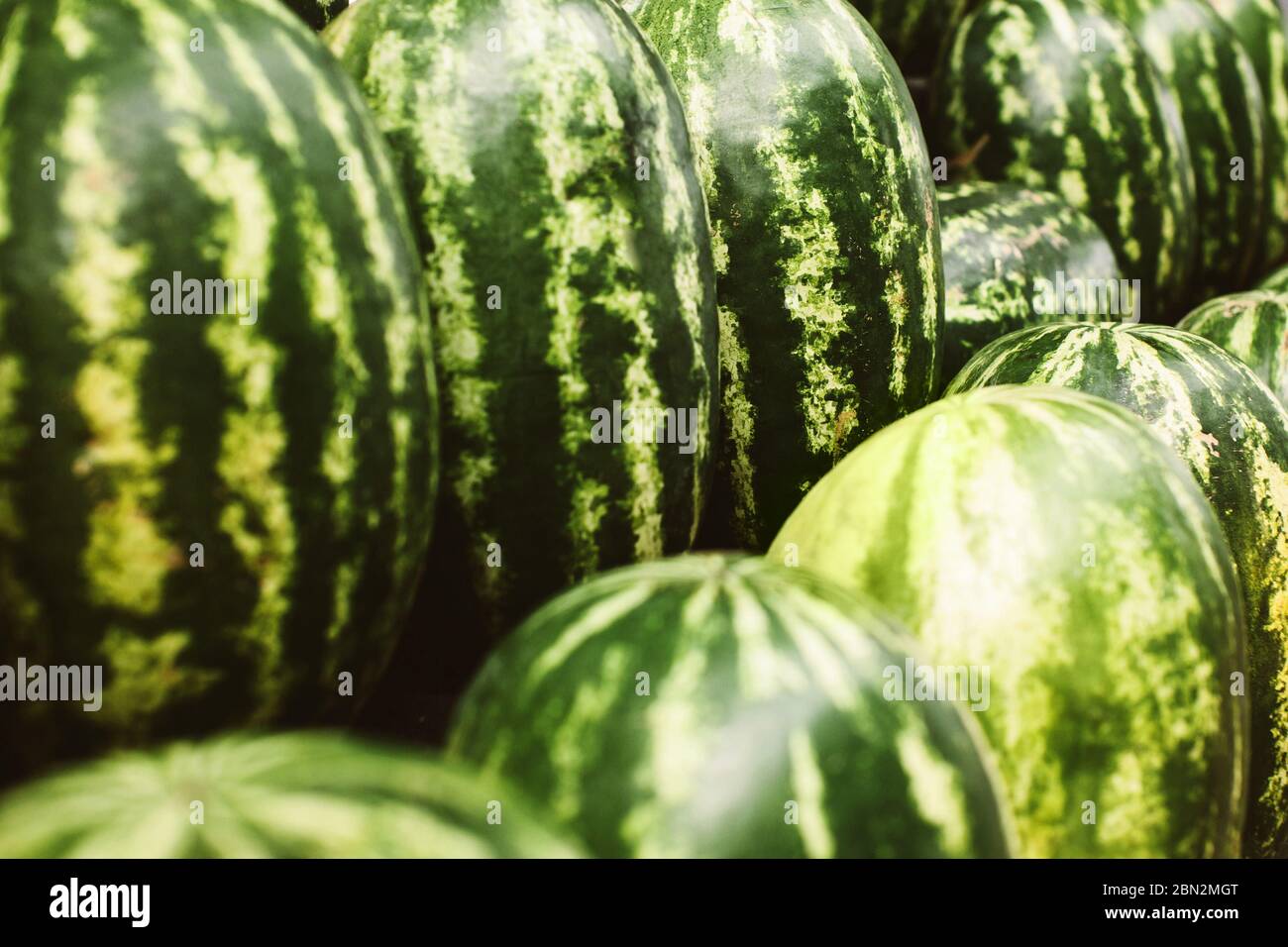 Row delicious juicy watermelon hi-res stock photography and images - Alamy