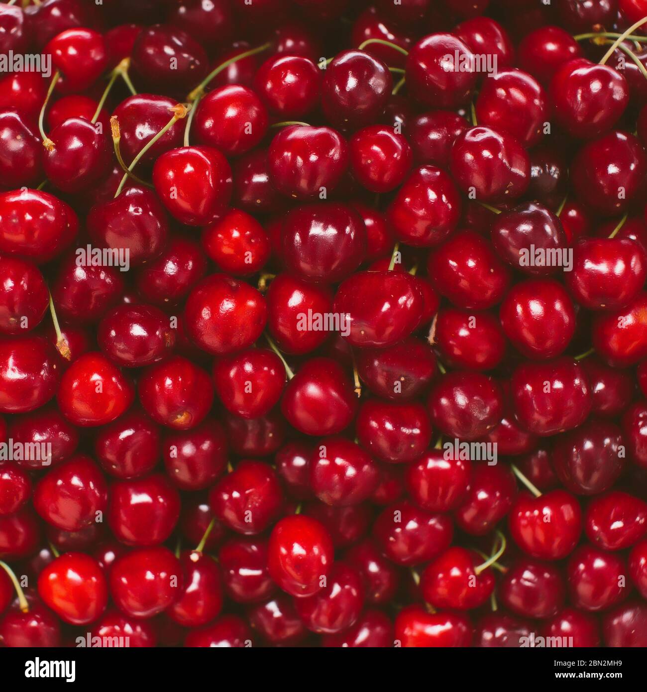 Sweet cherry fruit inclose-up on natural farmer market, fruit ...