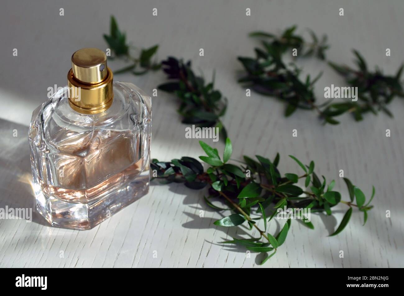 Myrtle spa. Fragrant water in a bottle, natural freshness, soft ...