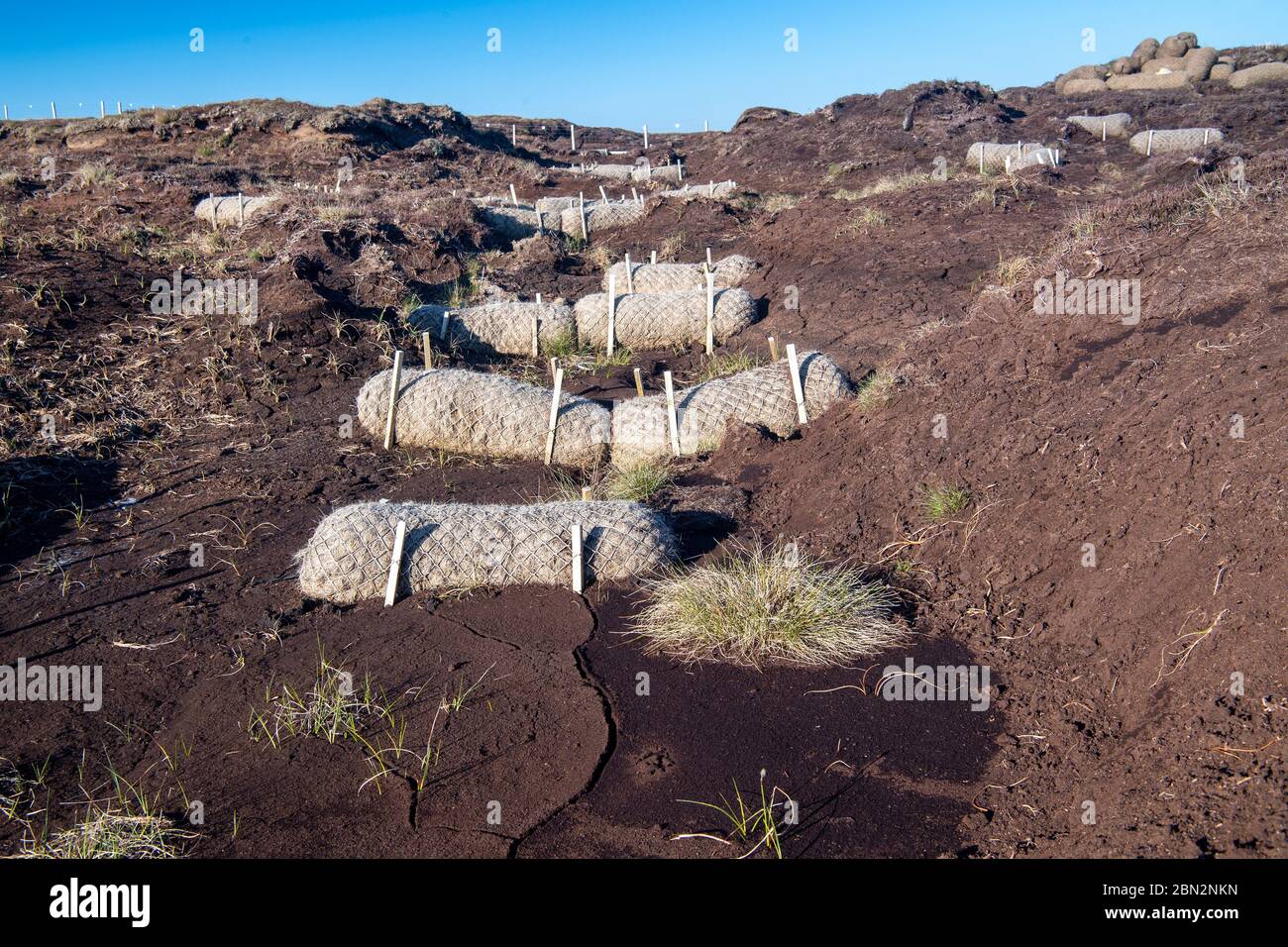 Bog conservation restoration hi-res stock photography and images - Alamy