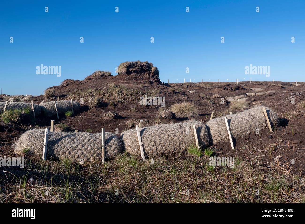 Peat bog restoration program on moorland on Fleet Moss, using coconut ...
