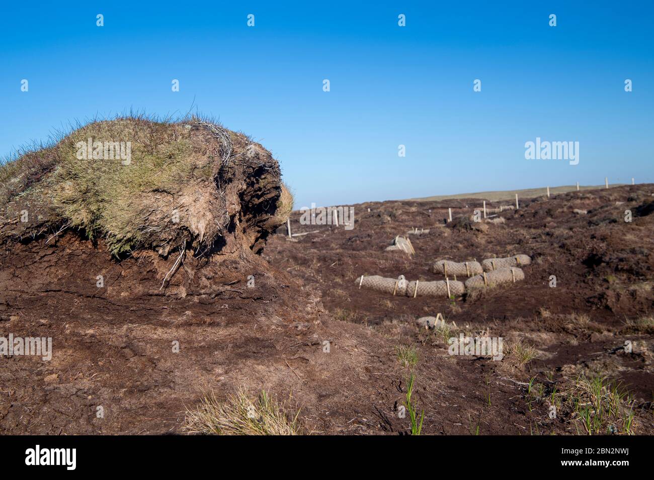 Bog Conservation Restoration High Resolution Stock Photography and ...
