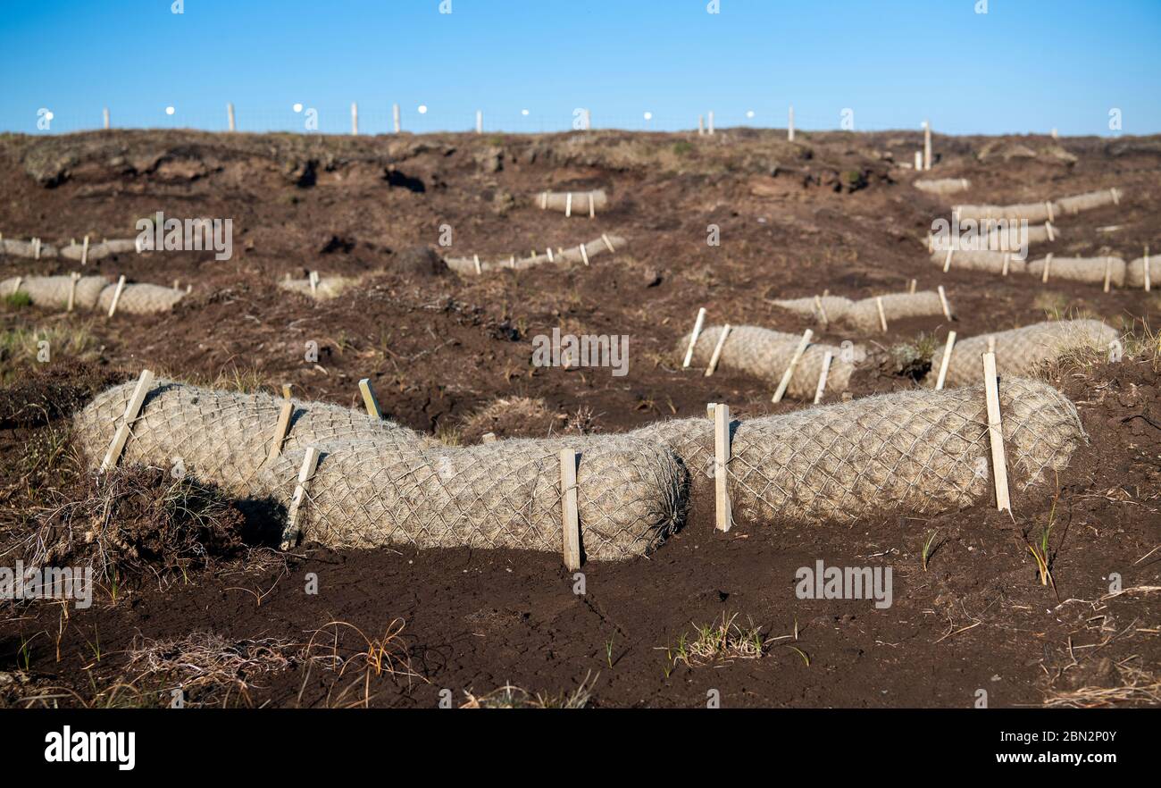 Blanket bog restoration hi-res stock photography and images - Alamy