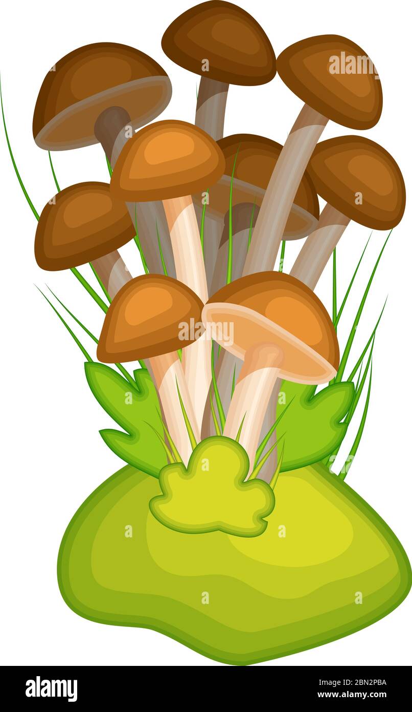 Cartoon mushroom with grass Stock Vector Image & Art - Alamy