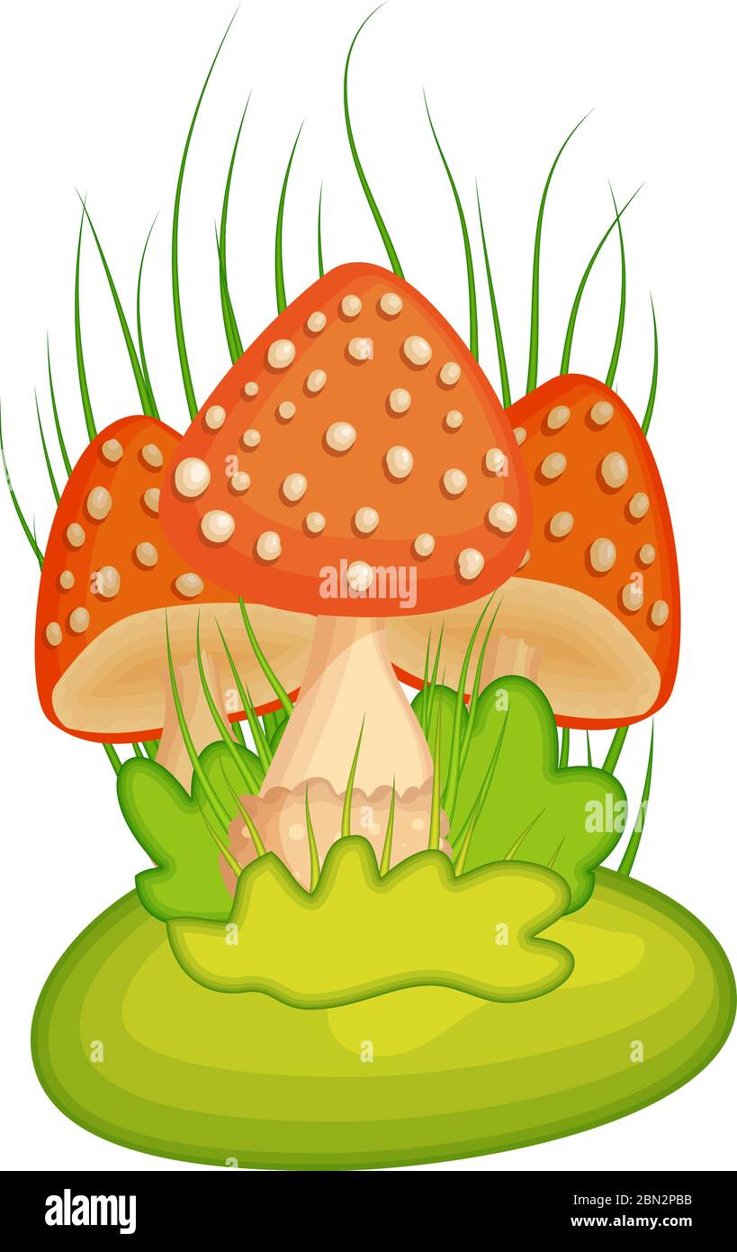 Poisonous forest mushroom red Stock Vector Images - Alamy