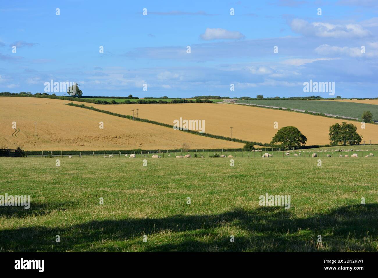 Gilling east hi-res stock photography and images - Alamy