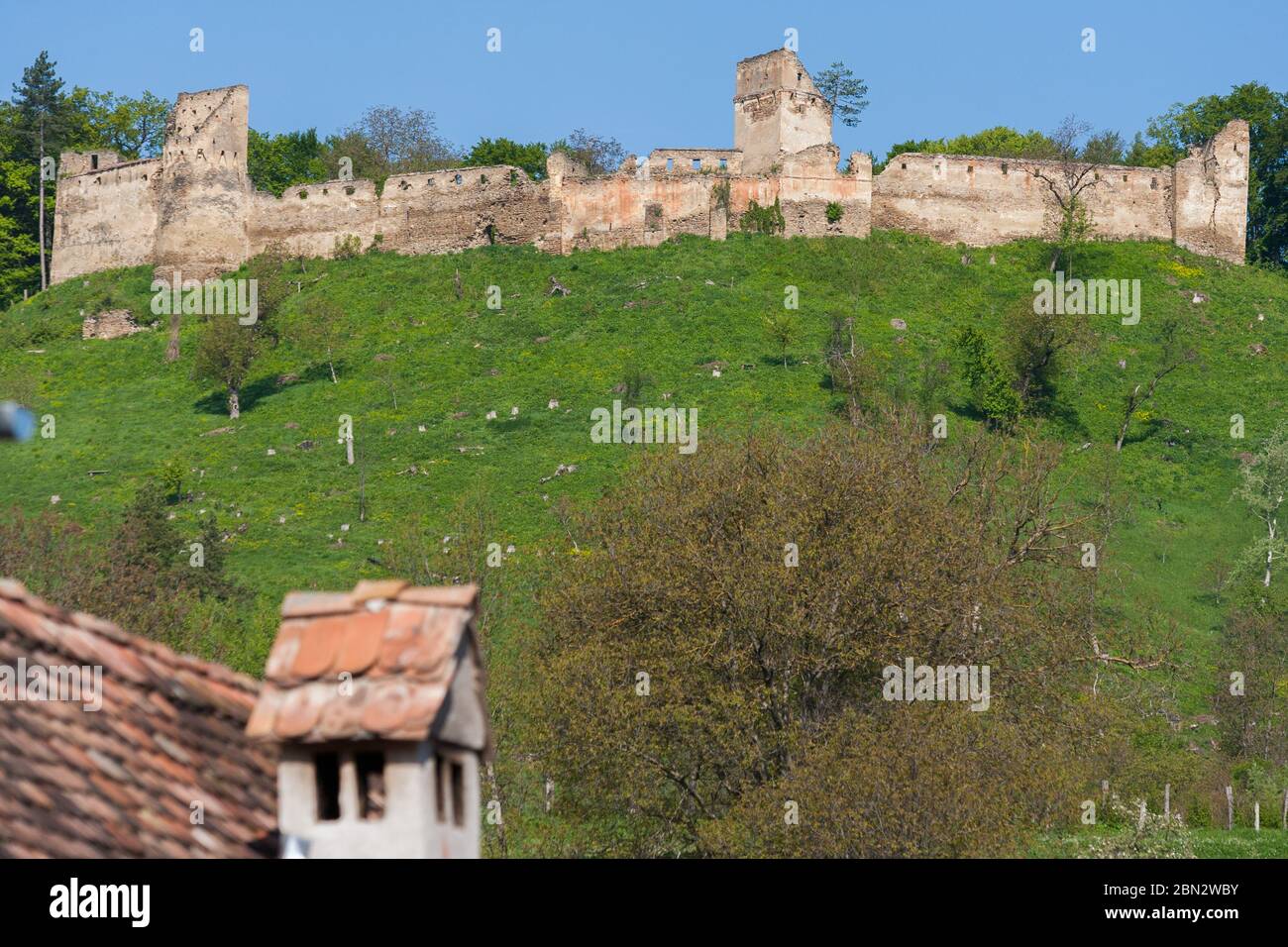 Ruins of medieval fortified saxon fortress in Saschiz village near ...