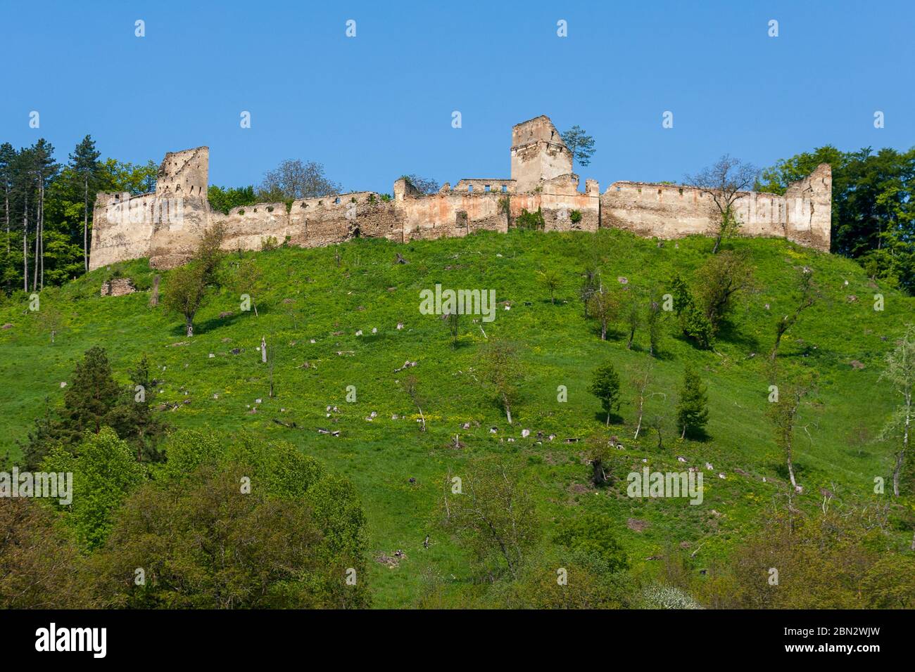 Ruins of medieval fortified saxon fortress in Saschiz village near ...