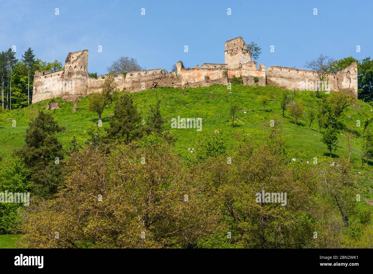 Ruins of medieval fortified saxon fortress in Saschiz village near ...