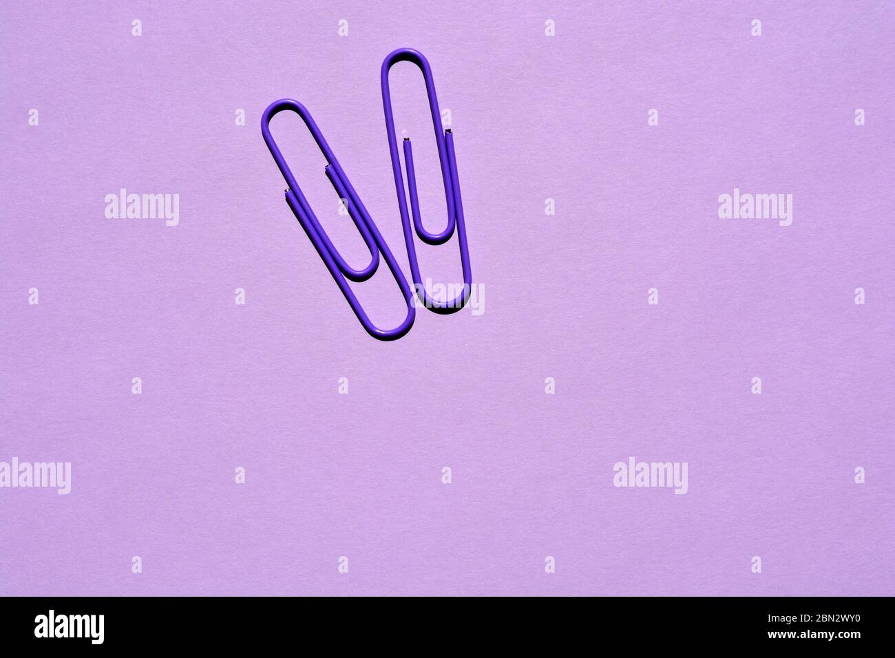 Two plastic coated purple paper clip isolated on purple background with ...