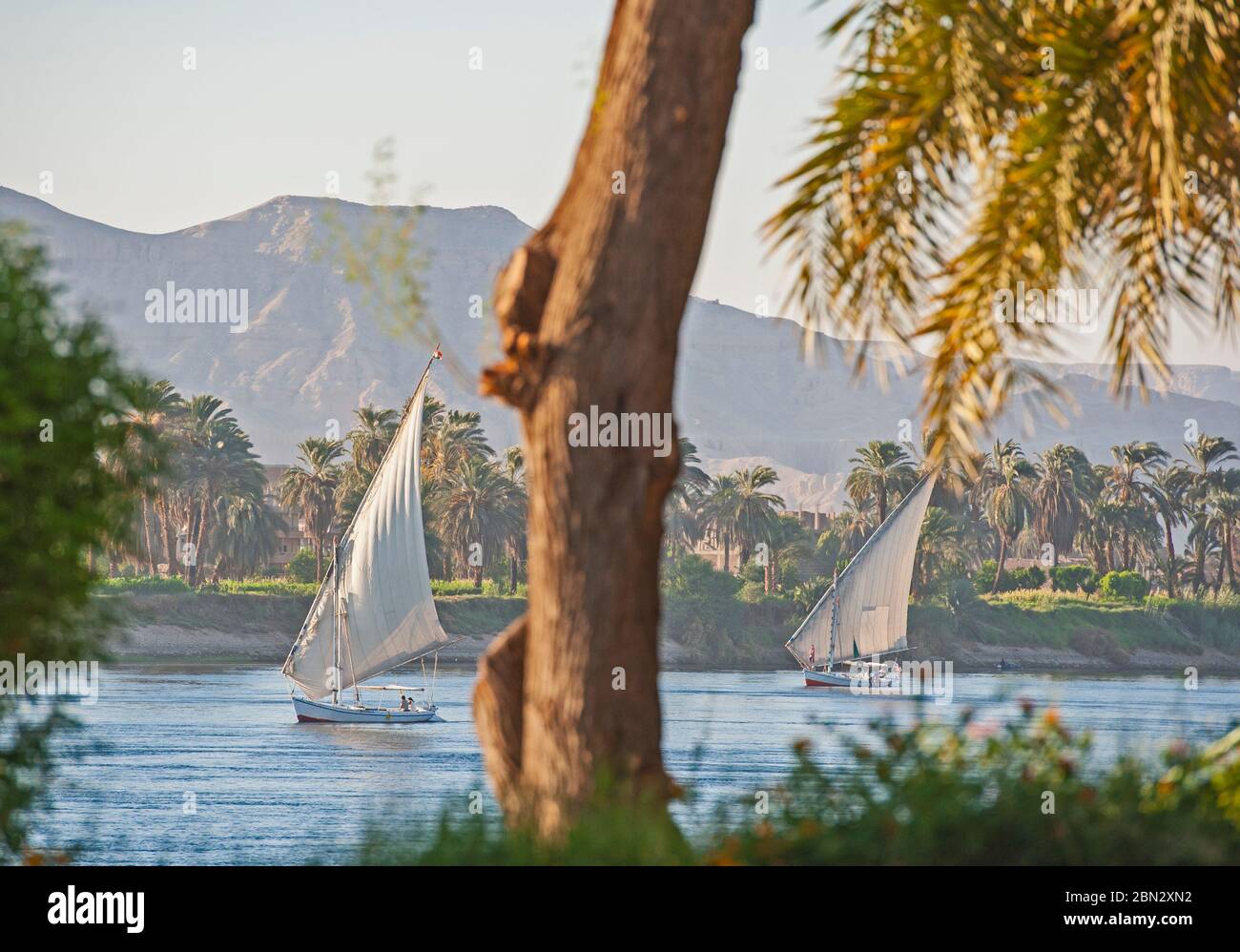 Traditional Egyptian felluca river boat sailing on the Nile with trees ...