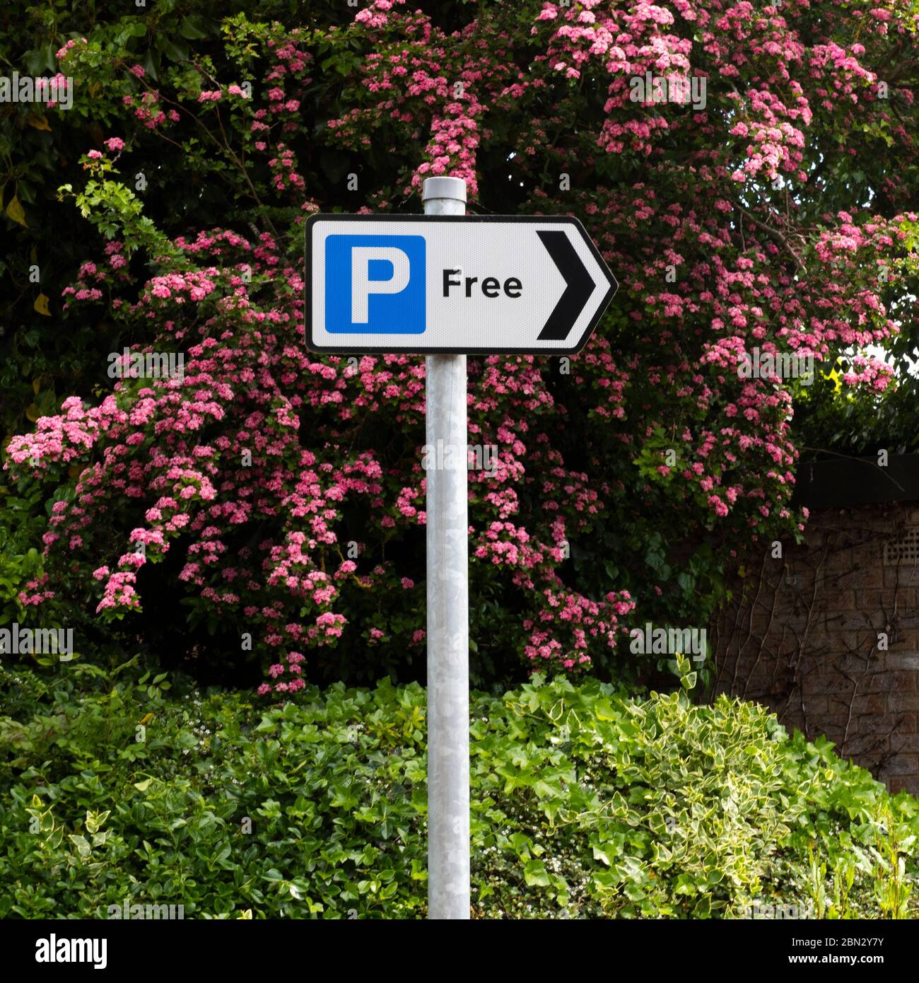 A small sign indicating parking with a white capital P in a blue square ...