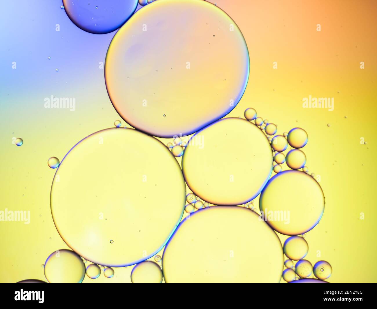 Colorful artistic of oil drop floating on the water Stock Photo - Alamy
