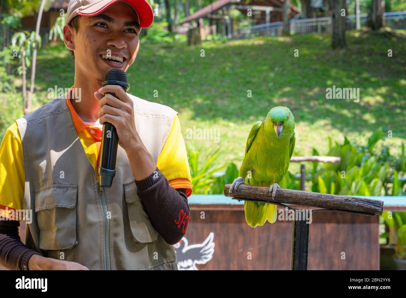 A show with birds in a bird park. A trainer with parrots Stock Photo ...