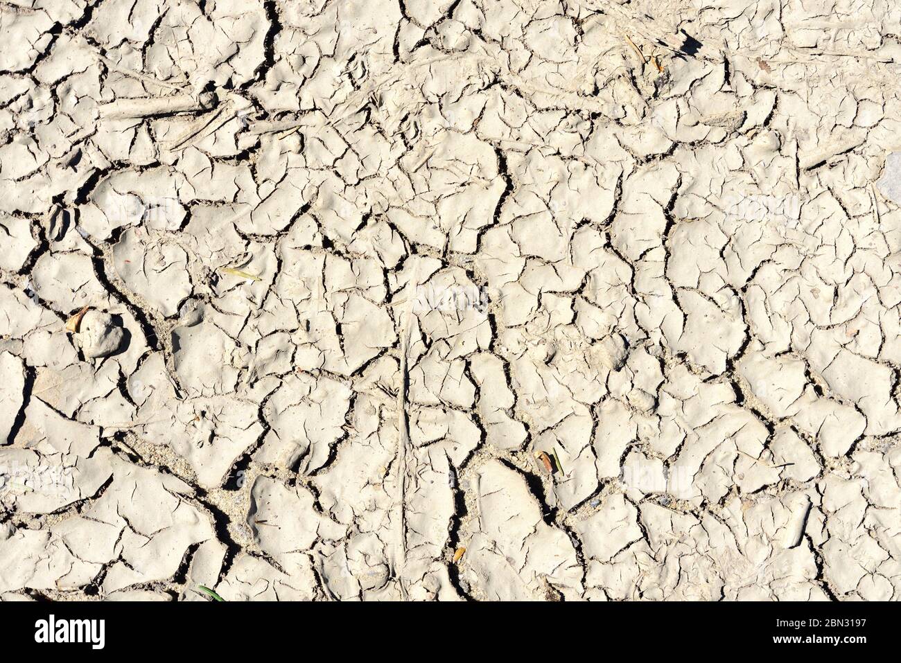 Background and texture of dried and cracked brown mud outdoors Stock ...