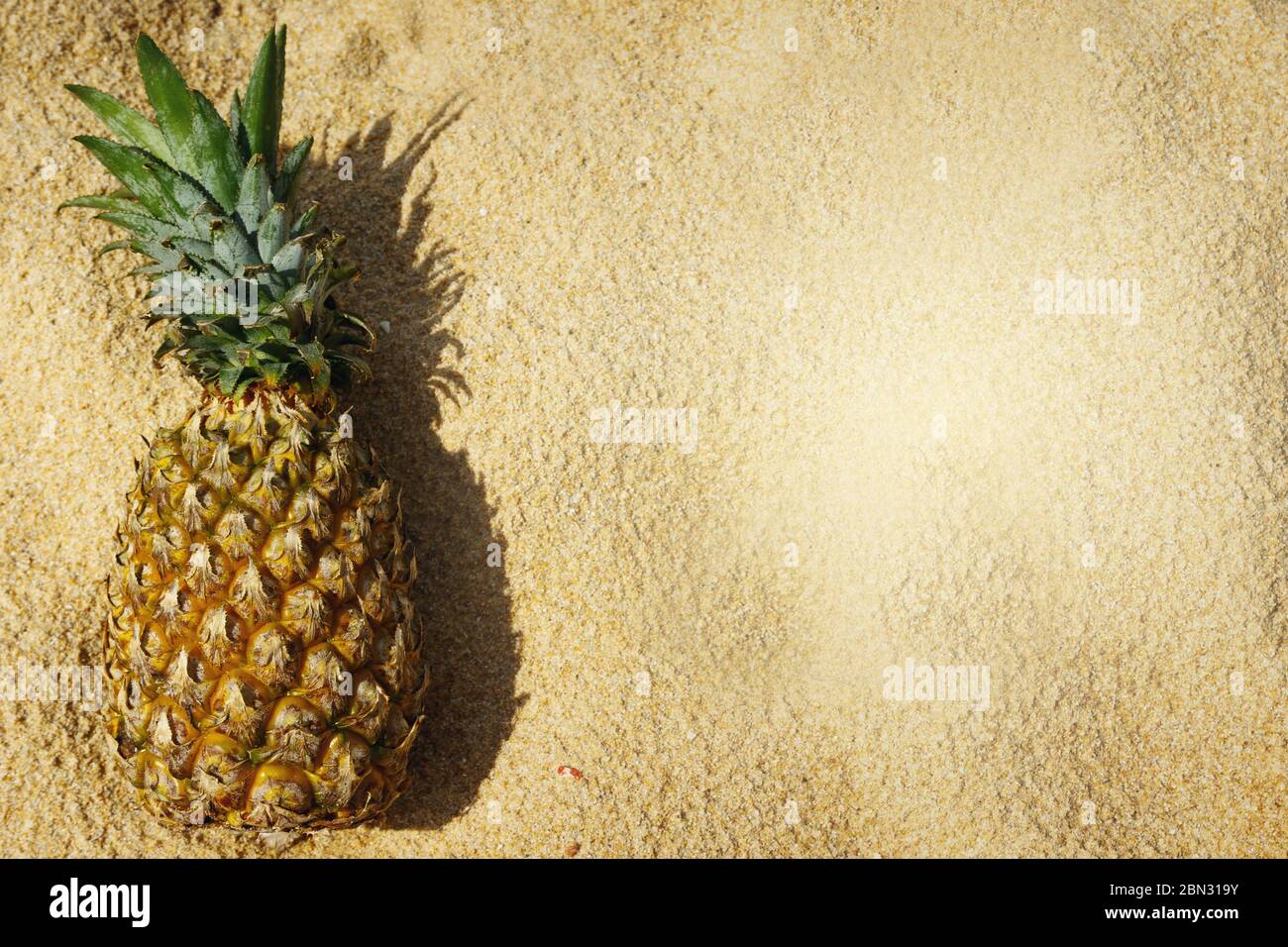 Pineapple fruit is lying on the sand Stock Photo - Alamy
