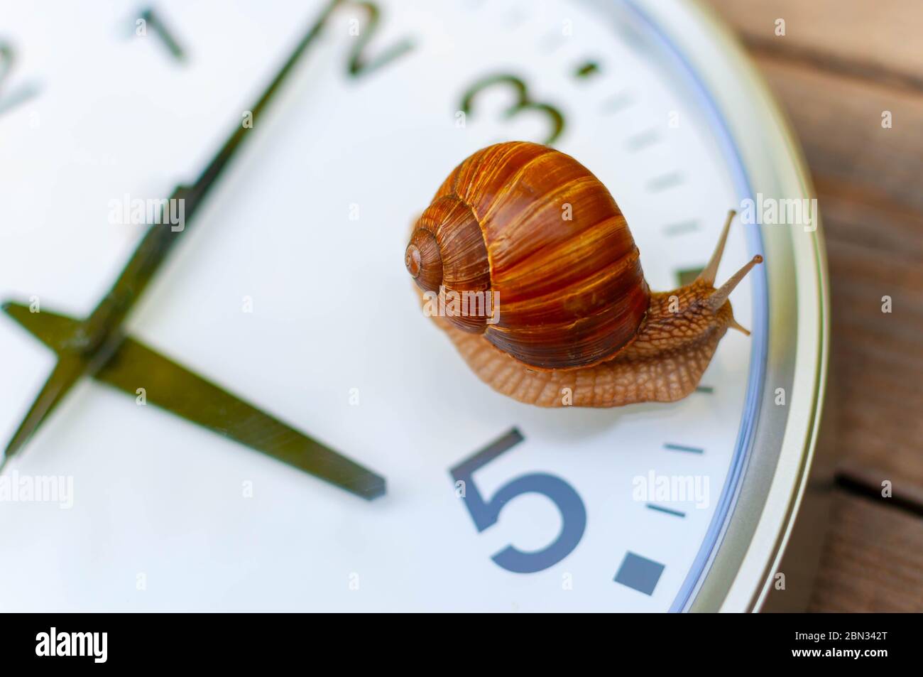 Slow down time Stock Photo - Alamy
