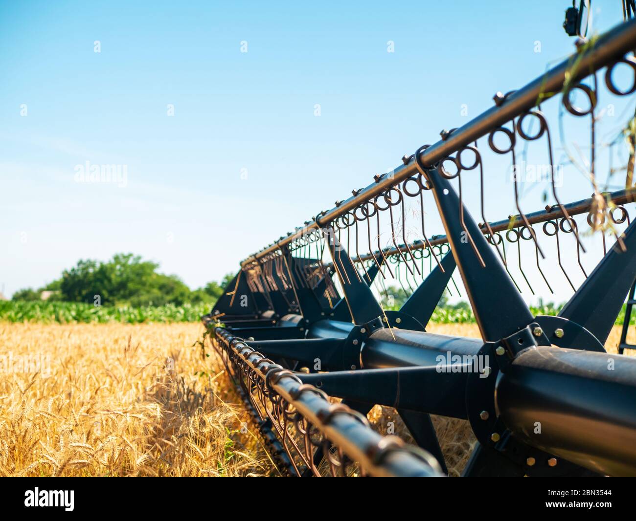 Wheat harvesting in the summer. Red harvester working in the field ...