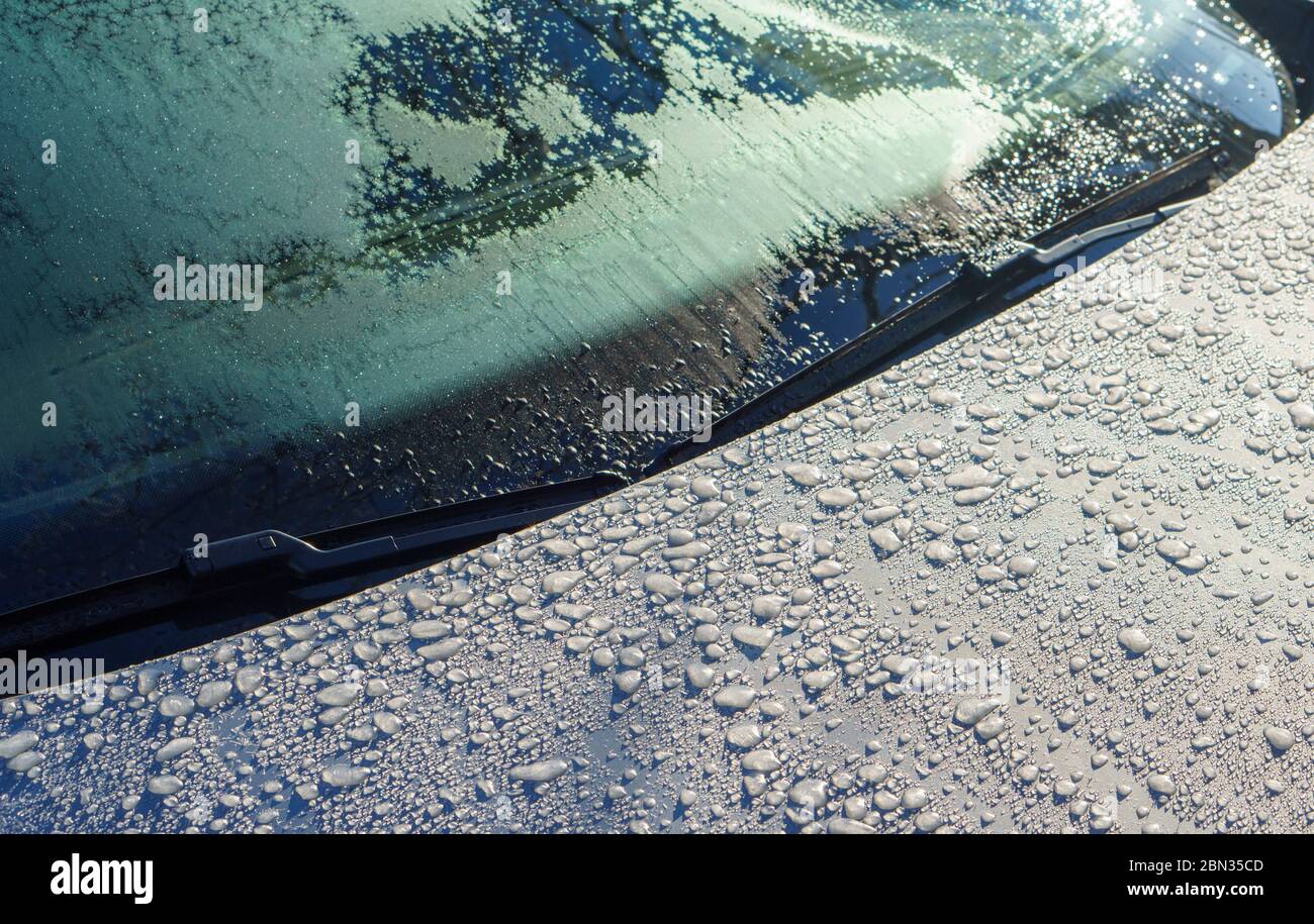 Iced windshield and hood hi-res stock photography and images - Alamy