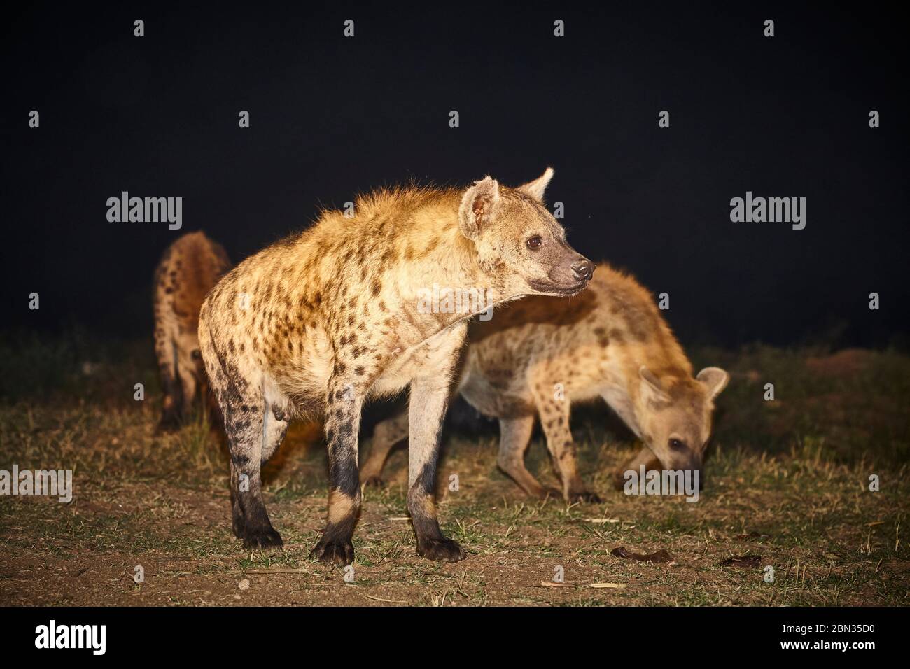 Harari people hi-res stock photography and images - Alamy