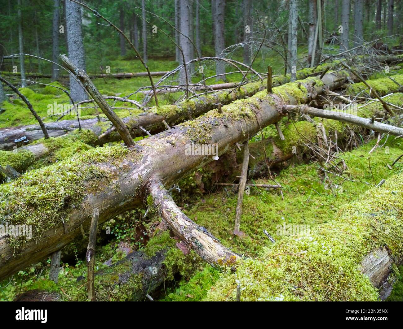 Moulder park hi-res stock photography and images - Alamy