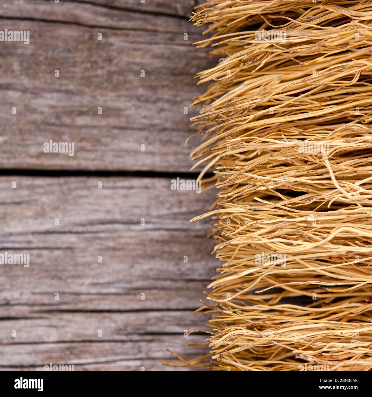 Natural animal skin materials hi-res stock photography and images - Alamy