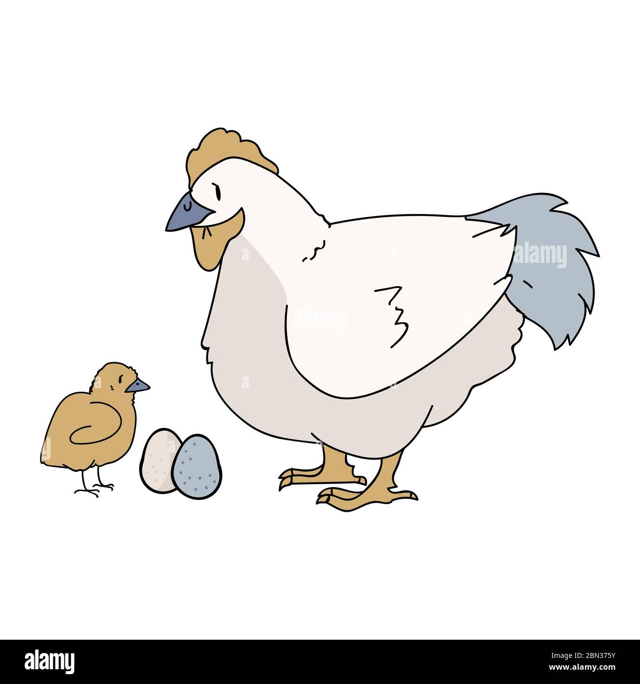 Cute french farmhouse chicken with egg and chick vector clipart. Hand ...