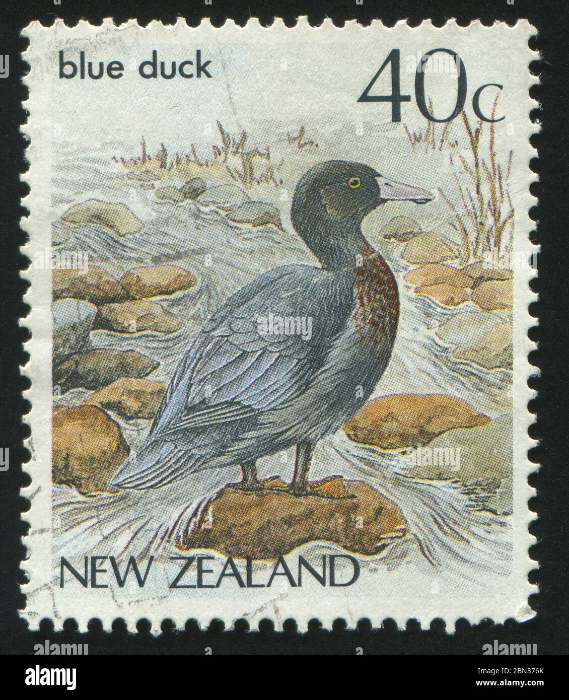 NEW ZEALAND - CIRCA 1985: stamp printed by New Zealand, shows bird ...