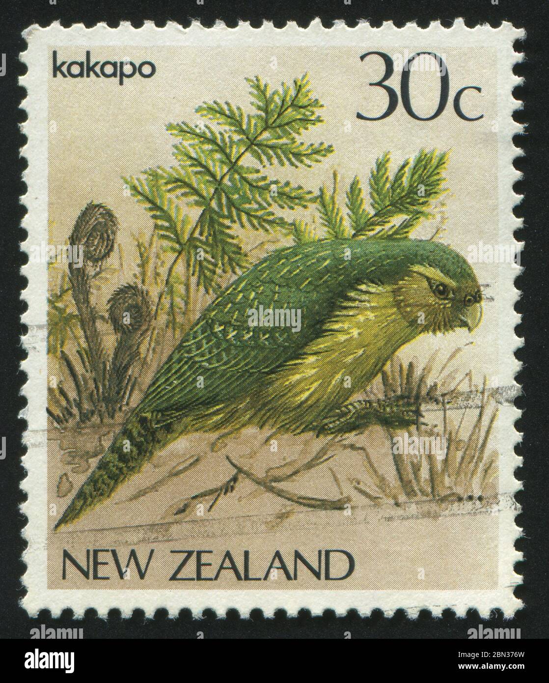 NEW ZEALAND - CIRCA 1985: stamp printed by New Zealand, shows bird ...