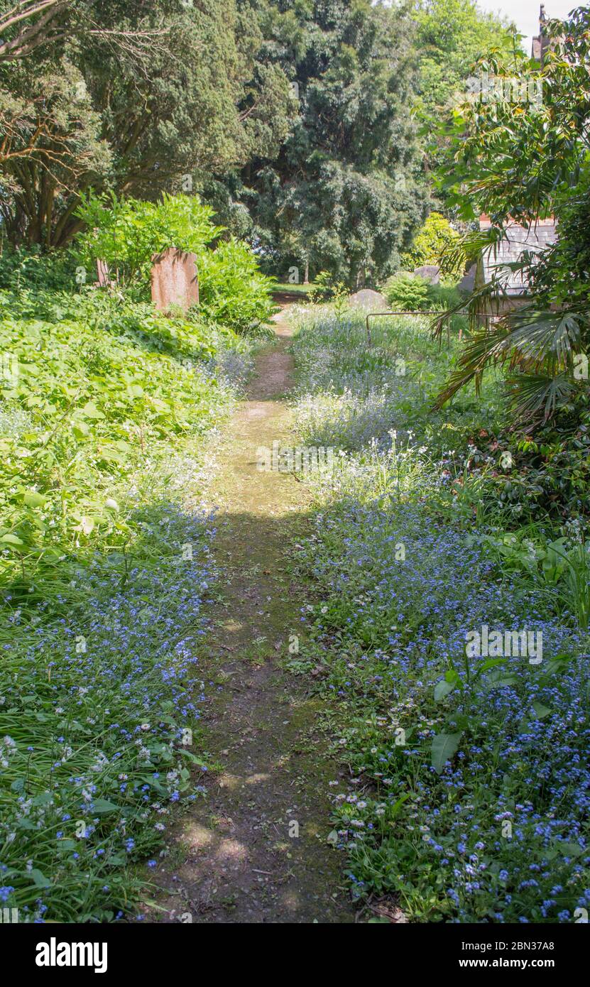 Gulval hi-res stock photography and images - Alamy