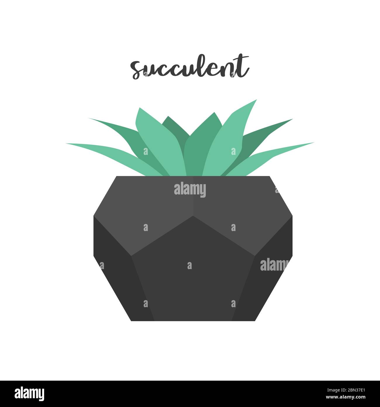 Agave plant in decorative Stock Vector Images - Alamy