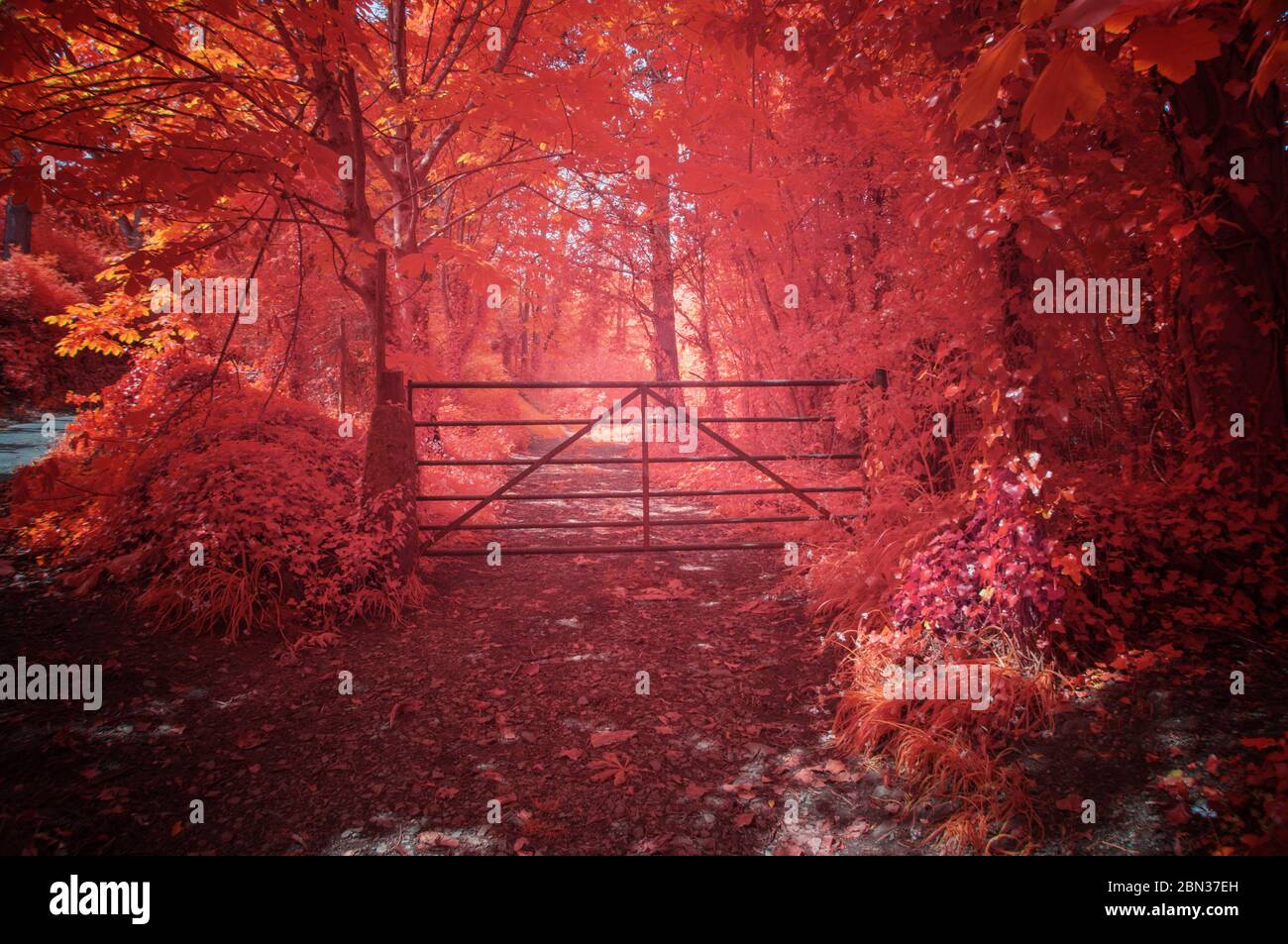 Gulval hi-res stock photography and images - Alamy