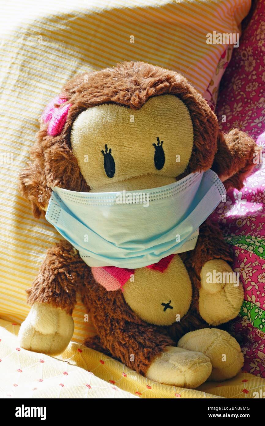 A childrens plush stuffed animal toy wearing a face mask during the ...