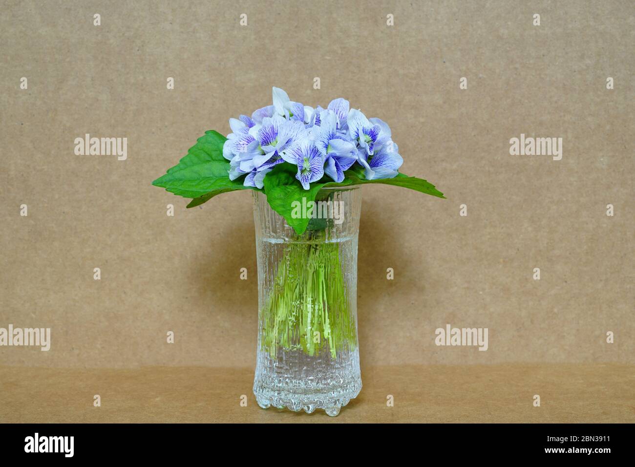 Small posy bouquet of fresh purple violet pansies Stock Photo - Alamy