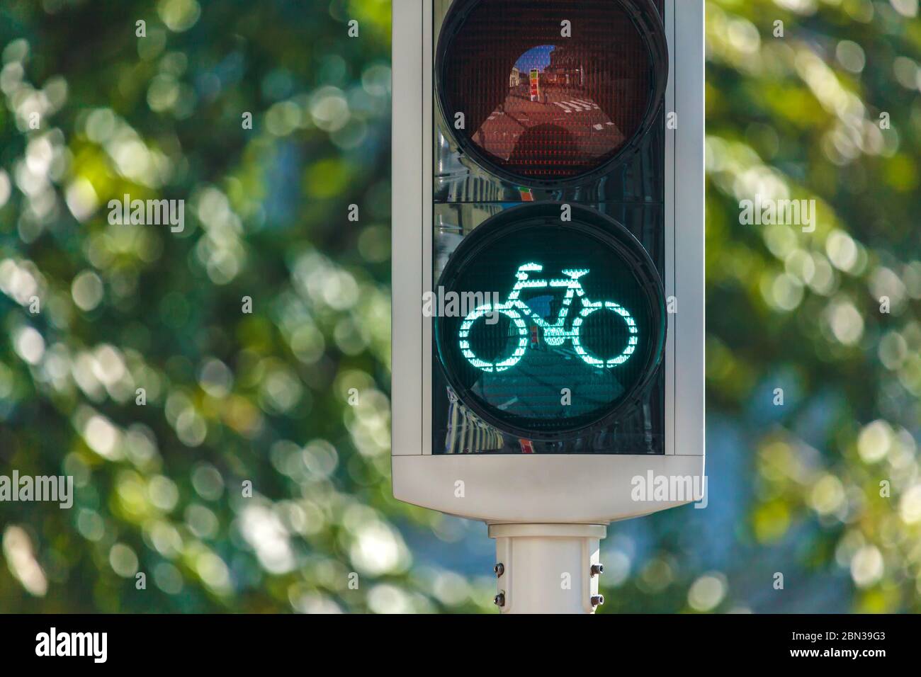 Bicycle traffic light in The Netherlands with trees in the background ...
