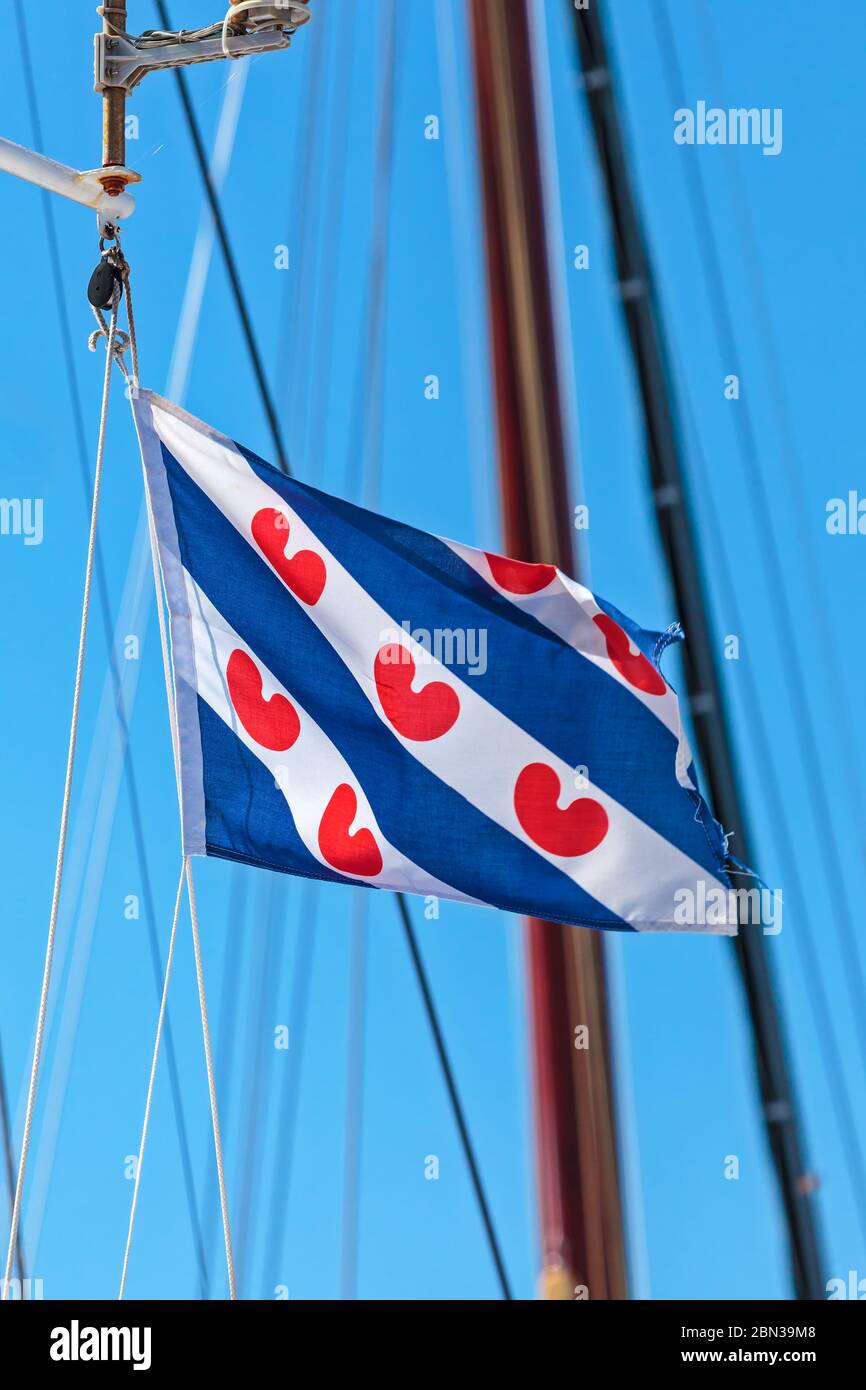 Dutch flag of the province Friesland hanging on a rope of a sailing ...