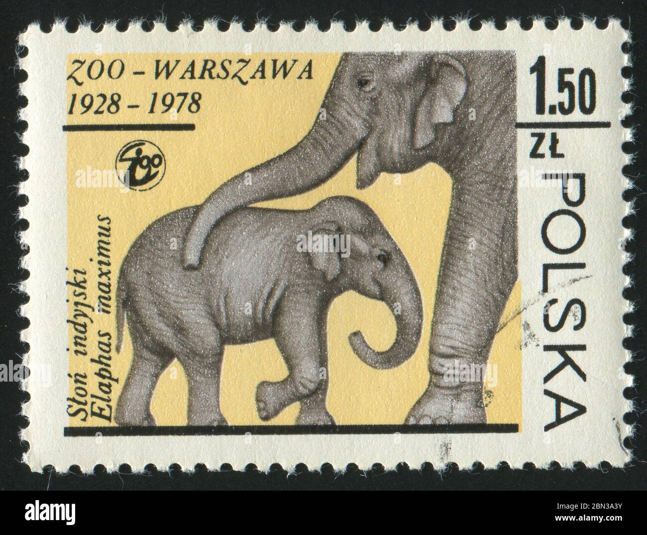 POLAND - CIRCA 1978: stamp printed by Poland, shows indian elephants ...