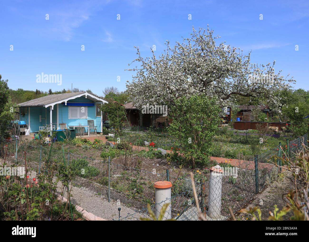 Tree plots hi-res stock photography and images - Alamy