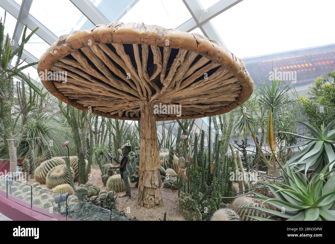 Singapore-city-SINGAPORE-0002Oct192019 Massive artificial toad stool in ...