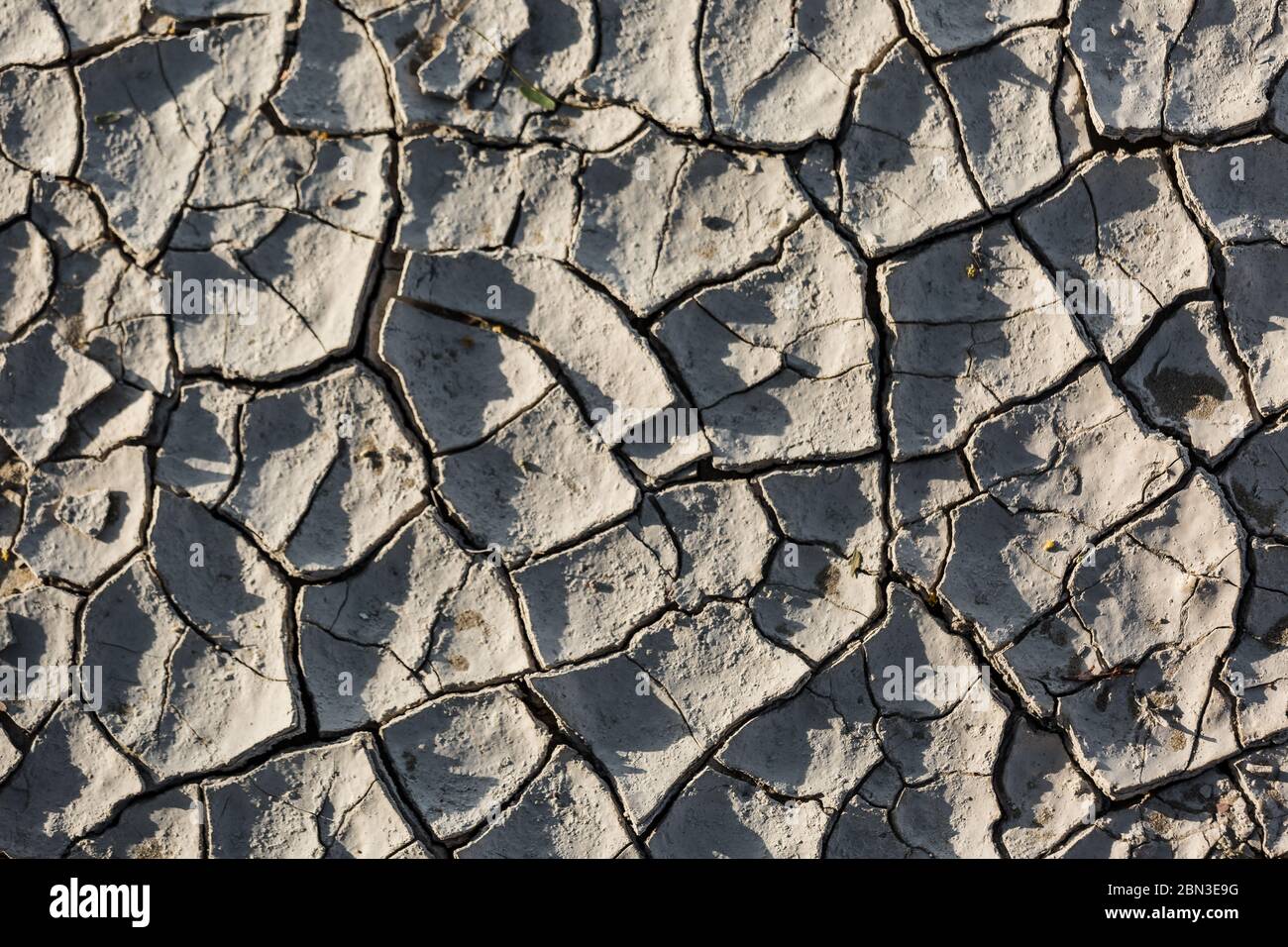 Dry Land Texture