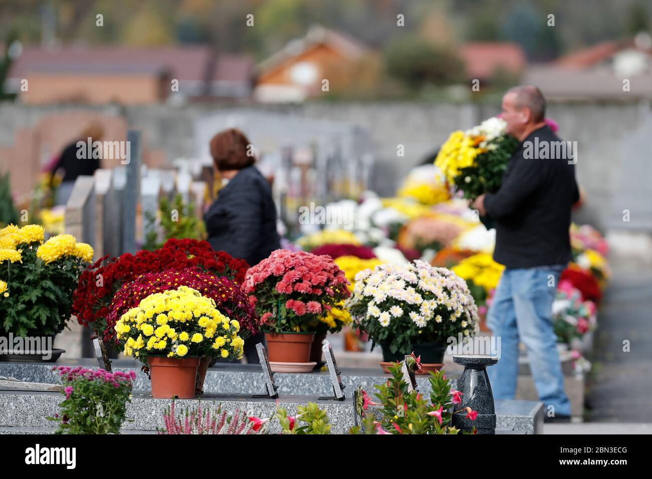 Fete de la toussaint hi-res stock photography and images - Alamy