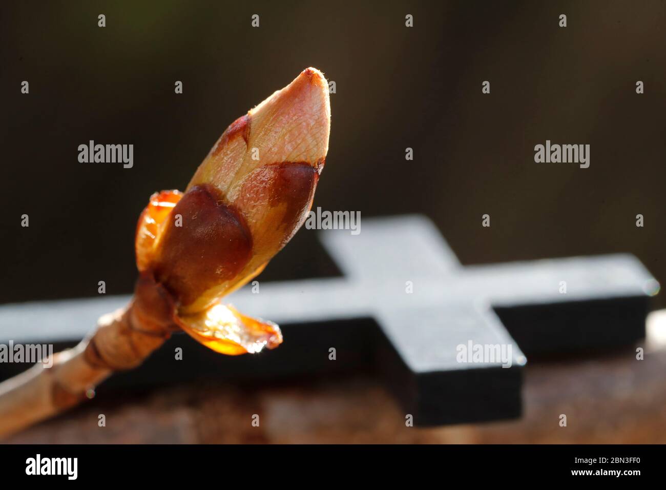 Saison religieuse hi-res stock photography and images - Alamy