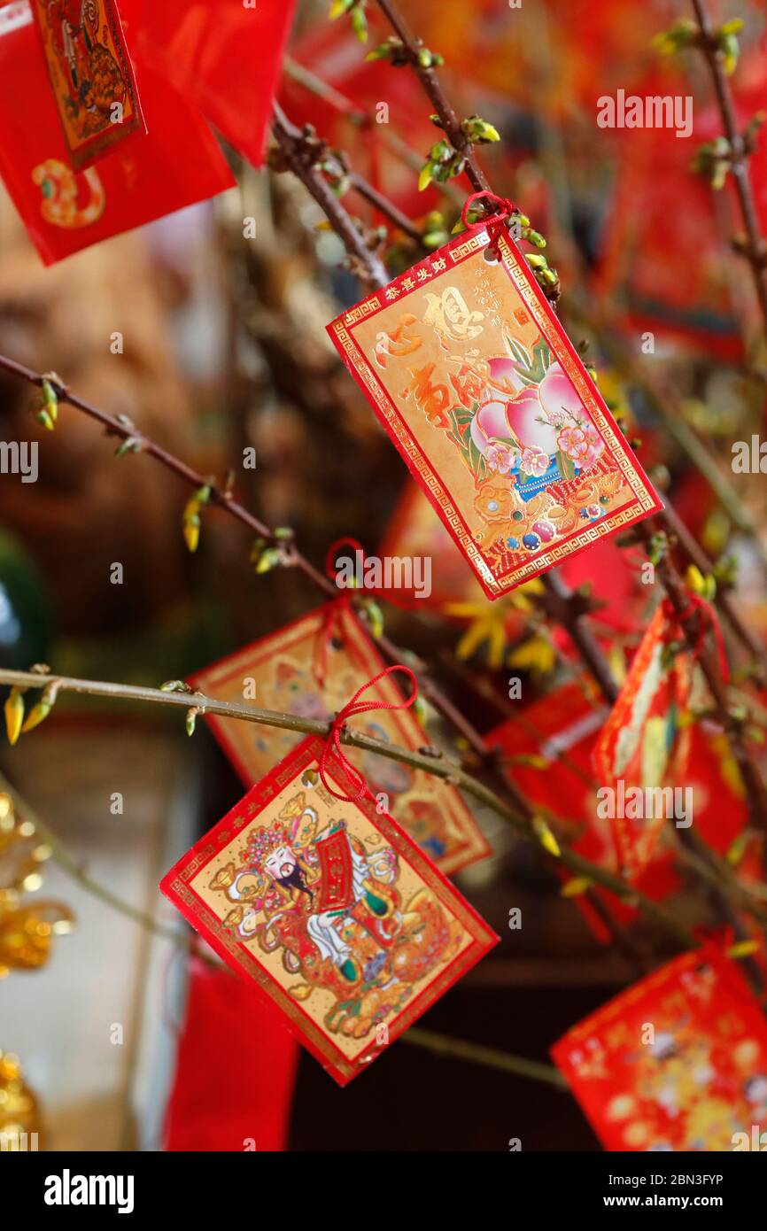 Chinese New Year Money Tree