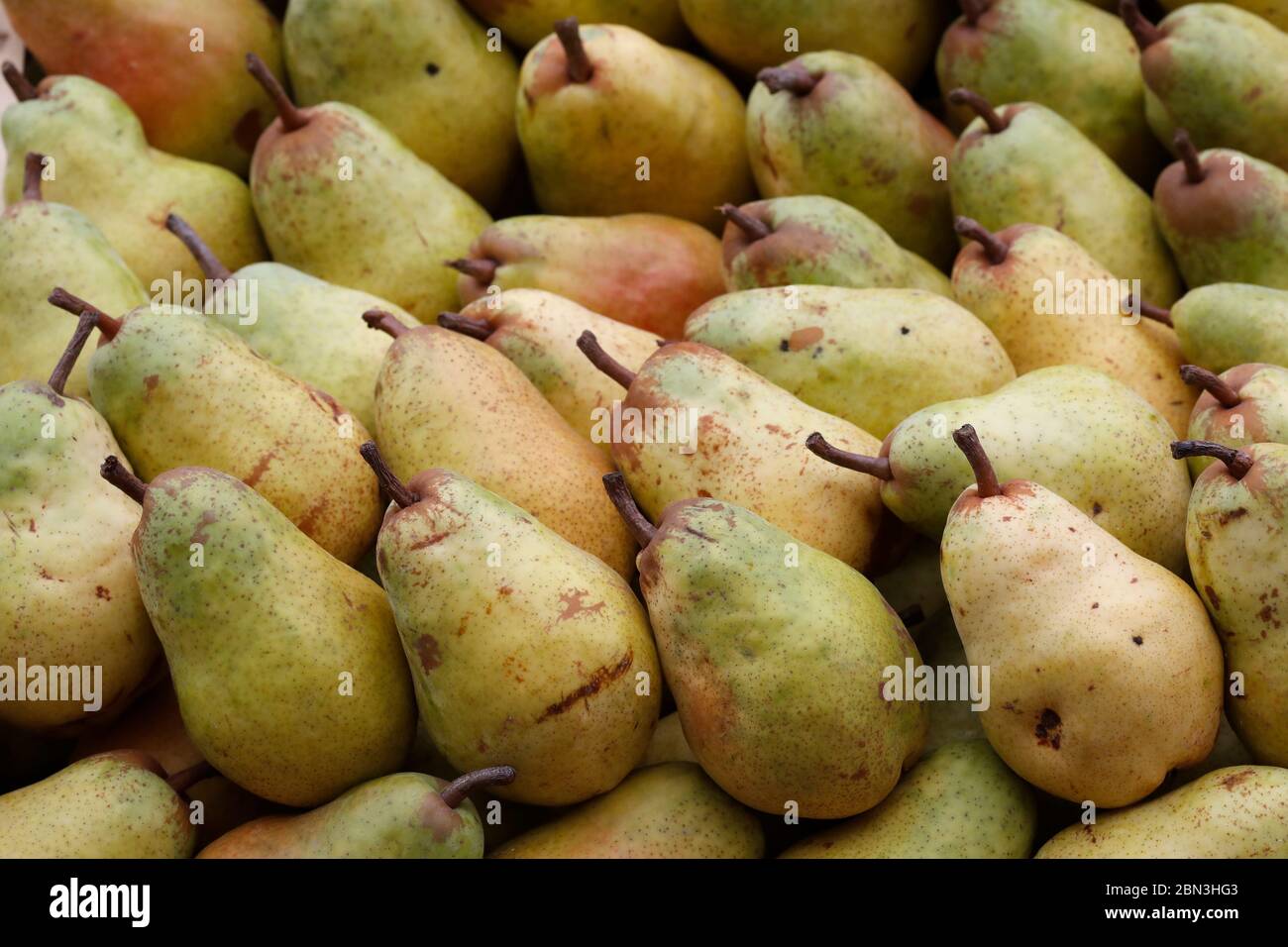 France pears hi-res stock photography and images - Alamy