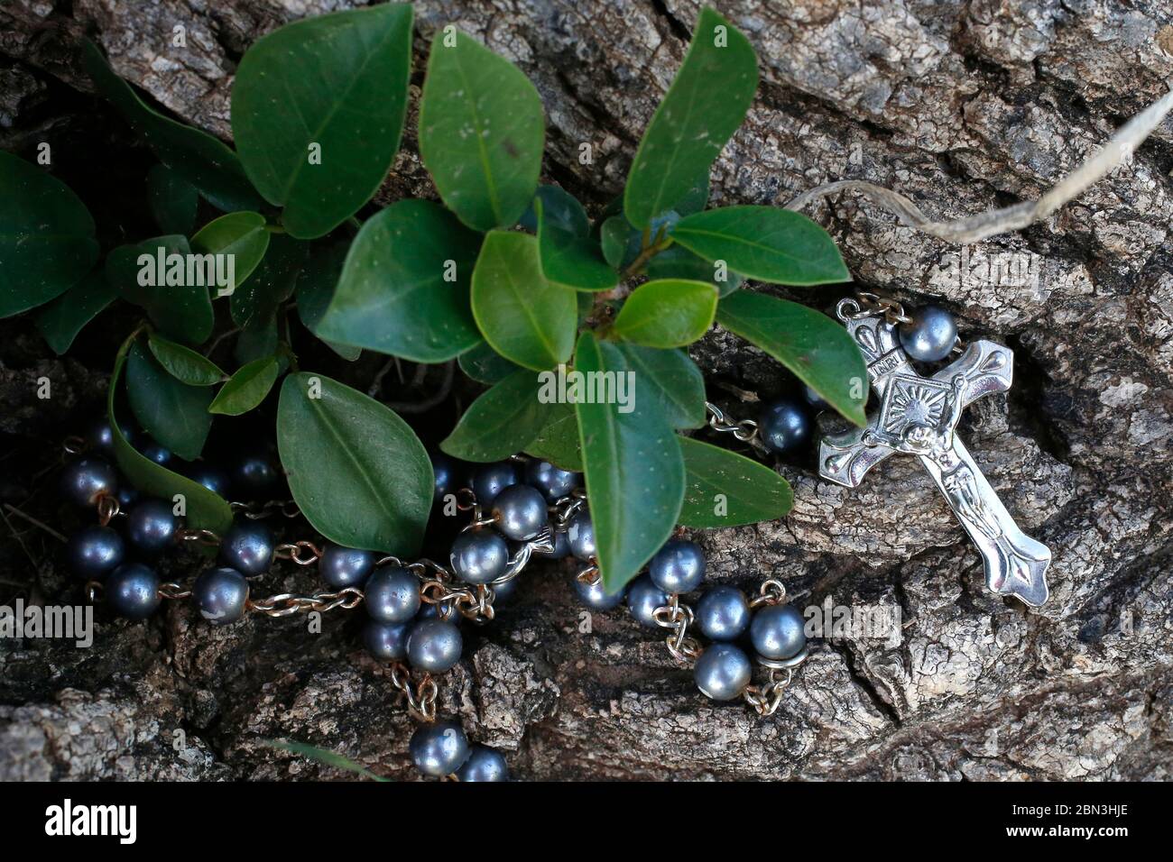 Catholic rosary beads on the trunk of a tree. Masai Mara. Kenya Stock ...