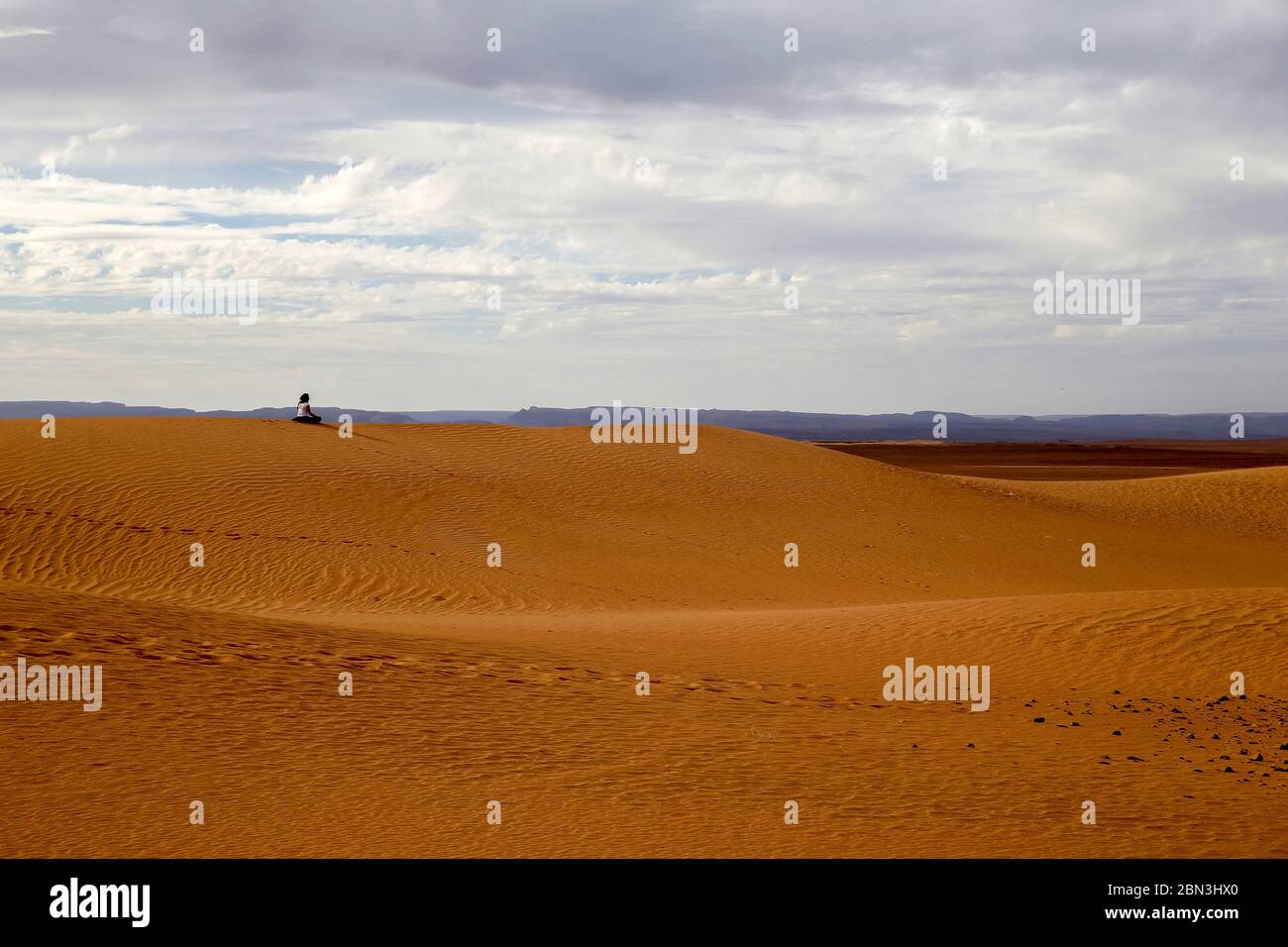 Zen sesshin (retreat) in the Sahara desert, Morocco. Zazen (meditation ...