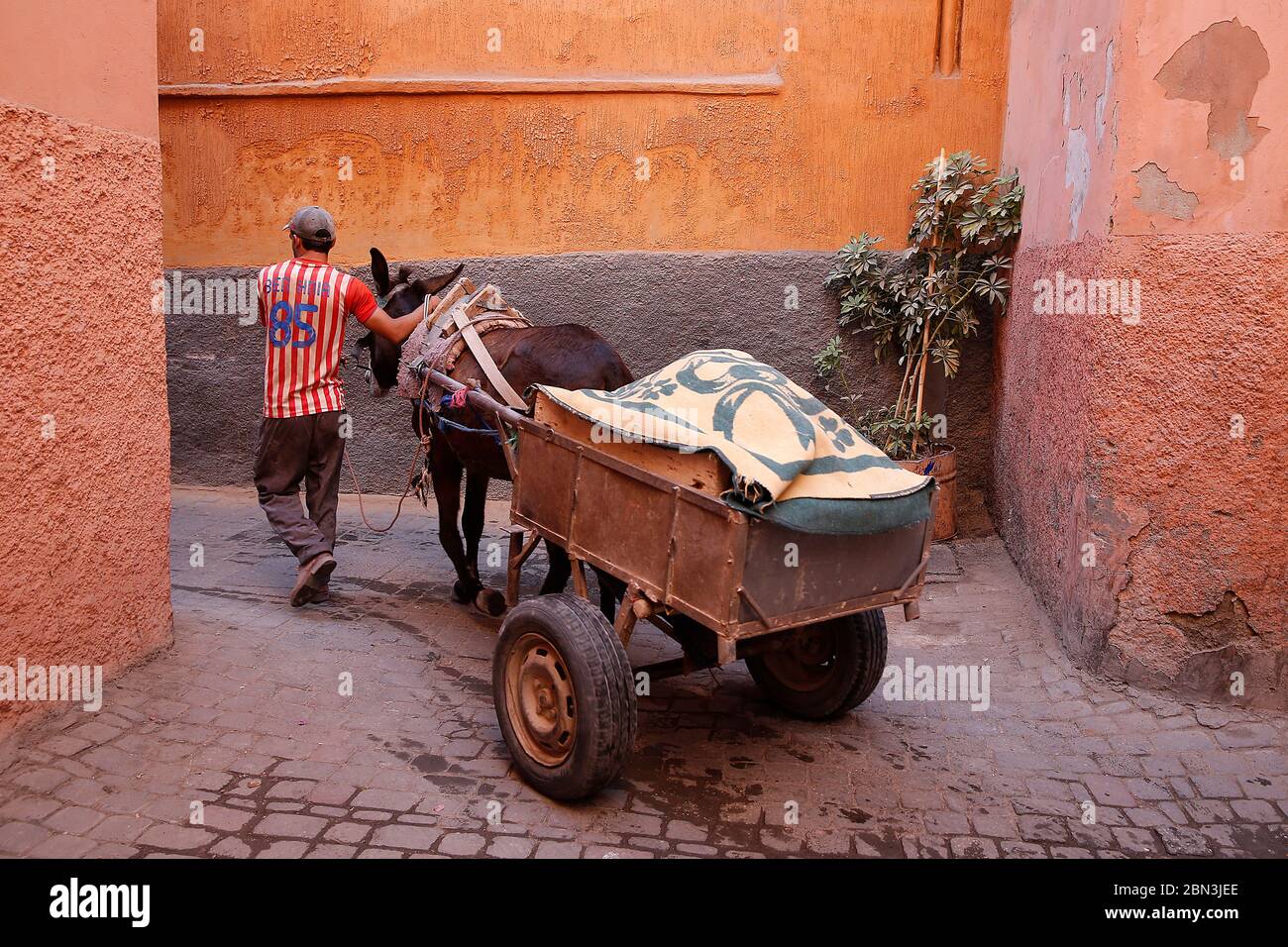 Man with cart in Marrakesh medina (old city), Morocco Stock Photo - Alamy