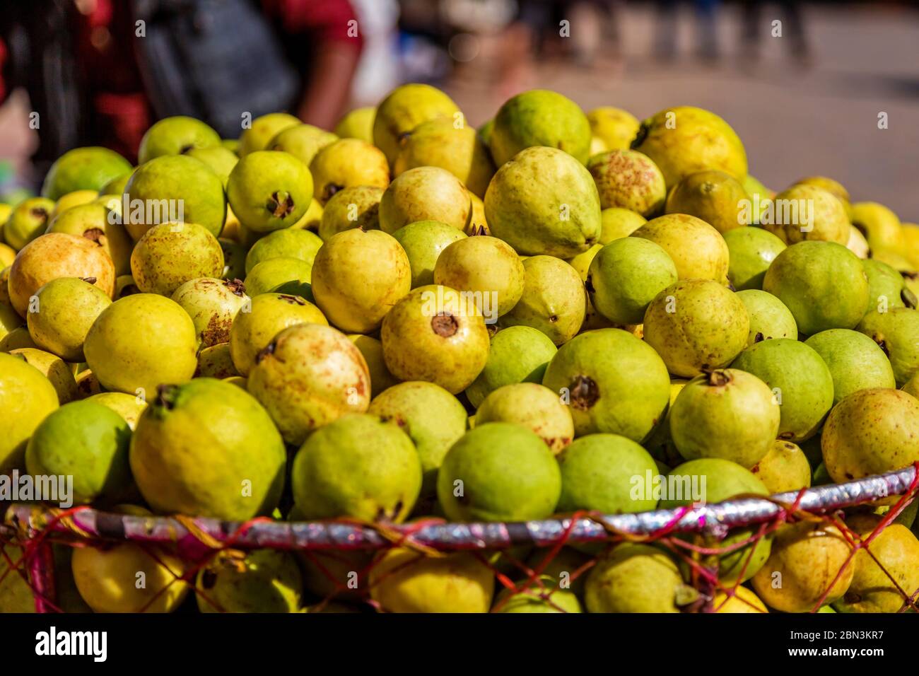 Guava Fruits High Resolution Stock Photography and Images - Alamy